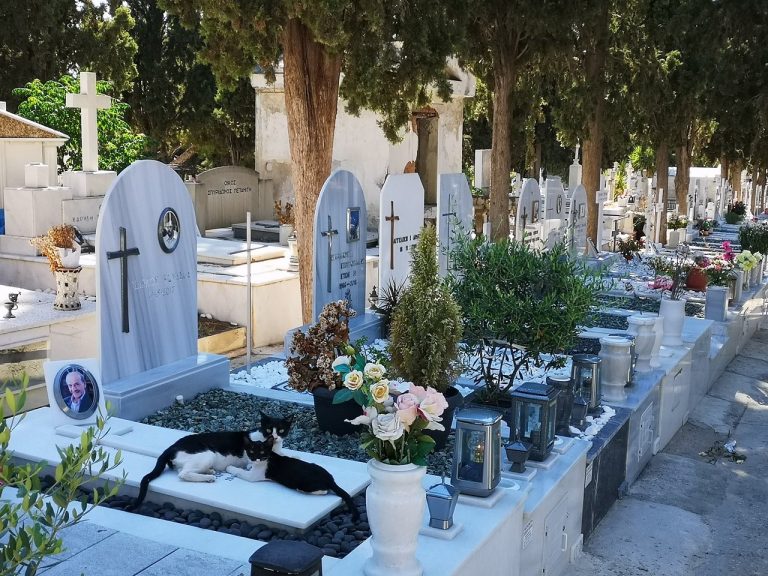 TURN YOURSELF INTO A TREE AFTER DEATH ! - TIIKM Blog